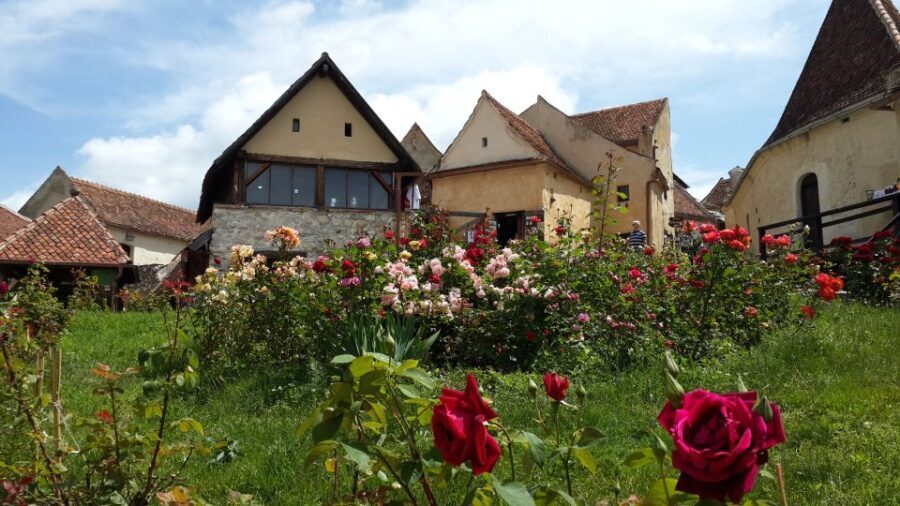Brown Bear Sanctuary, Bran Castle & Rasnov Fortress Day Tour - Bran Castle: The Legendary Fortress