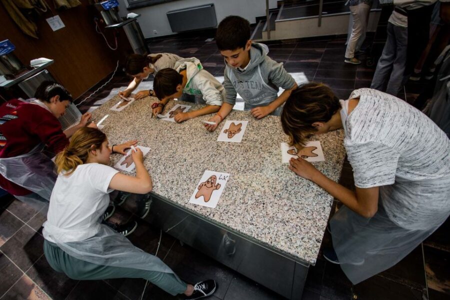Bruges: Chocolate Making Workshop and Chocolate Museum Entry - The Value for Your Money
