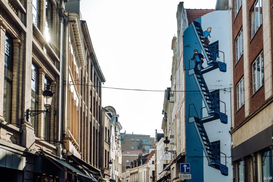 Brussels Comics & Street Art: Private Walking Tour - Visiting the Comic Book Stores