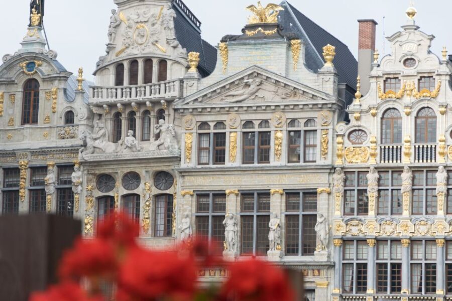 Brussels: Private Tour of the Upper and Lower City - The Value of a Private Guided Tour