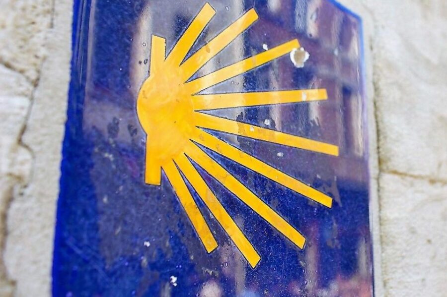 Brussels: Walking Tour with Belgian Lunch, Chocolate, & Beer - Who Should Consider This Tour?