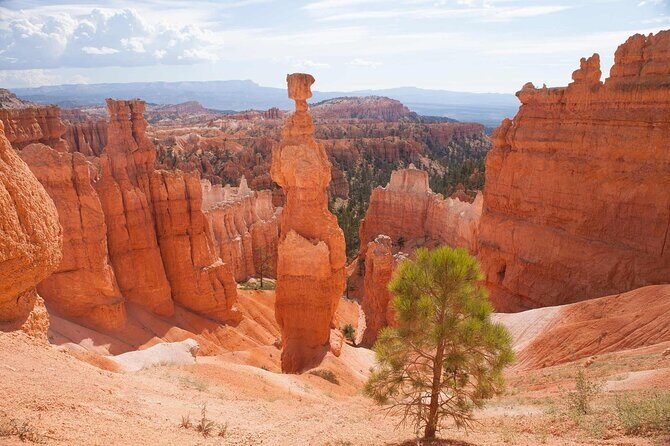 Bryce Canyon and Zion National Park Tour - Practical Details and Logistics