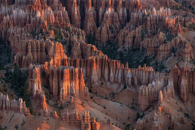 Bryce Canyon Photography Tours - The Sum Up: A Wise Choice for Photographers and Nature Lovers
