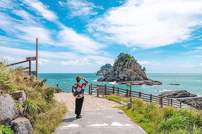 BTS Landmarks Private Car Tour in Busan with a Licensed Guide - Who Should Consider This Tour?