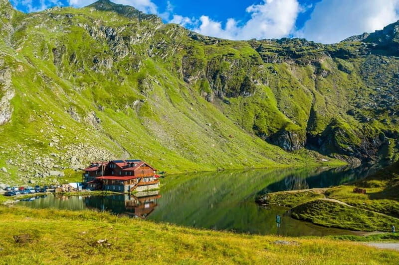 Bucharest: Bears Safari on Top Gear Road Transfagarasan - The Authenticity and Value