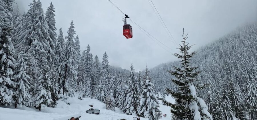 Bucharest: Snowmobile Tour with Pele Castle and Cable Car - The Snowmobile Experience: Short but Sweet