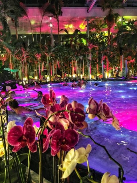 Bucharest: Therme Spa Night Experience with Transfer - Authentic Experiences and Authenticity