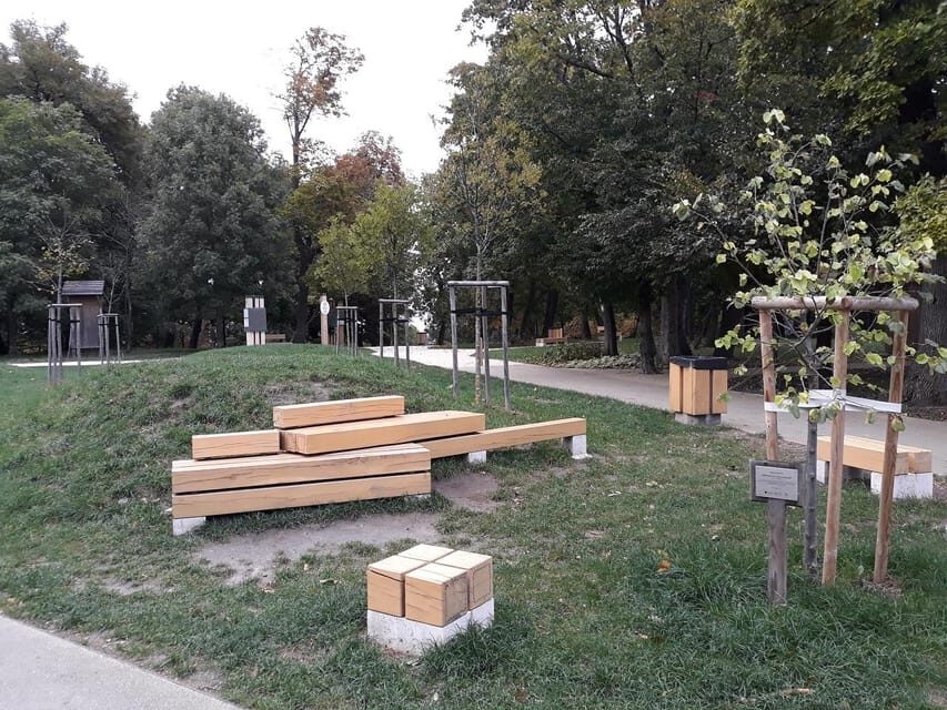 Budapest At Dawn: Scenic Walking Tour with Music Performance - The Experience in Detail