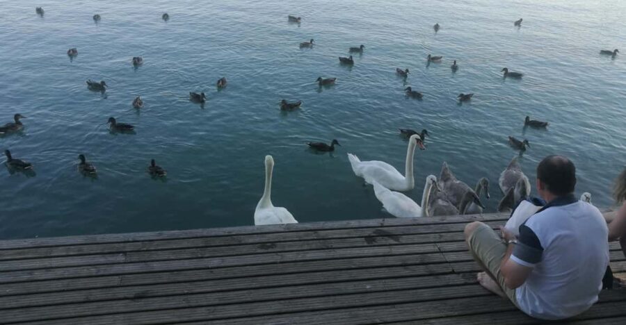 Budapest: Lake Balaton & Herend Porcelain Private Day Tour - A Detailed Look at the Tour Experience