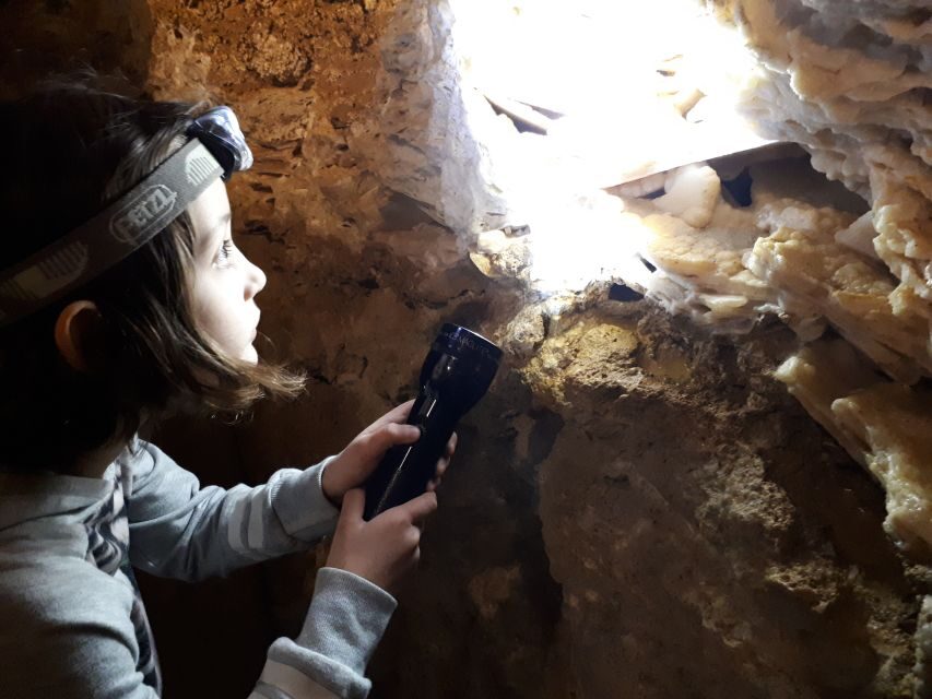 Budapest: Seml-hegyi & Pál-völgyi Caves Guided Walking Tour - Who Should Consider This Tour?