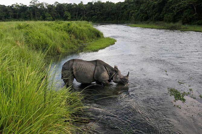 Budget Tour in Chitwan and Pokhara, Nepal - Day 3: Transition to Chitwan – From Mountain Views to Jungle Vistas
