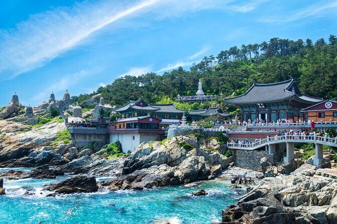 Busan City Tour Including Gamcheon Culture village and Haedong Yonggungsa Temple - Extra Highlights and Practicalities