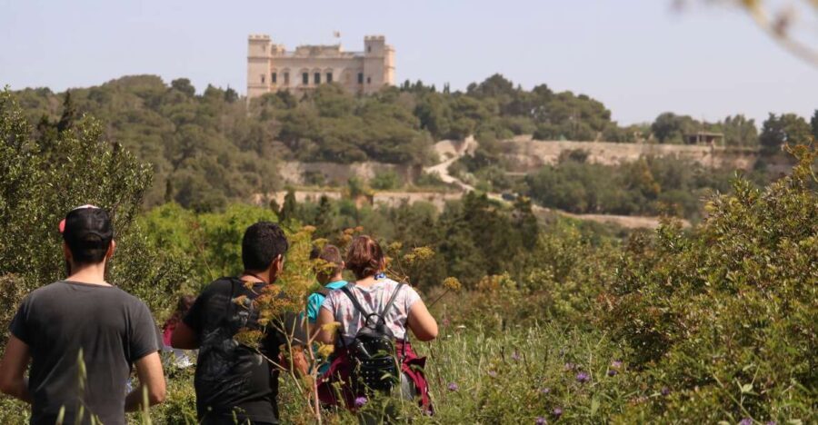 Buskett Woodlands and Dingli Cliffs Private Nature Tour - The Value of This Tour