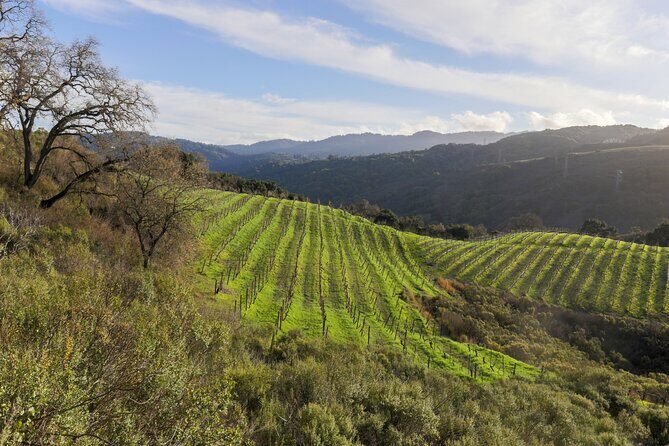 Calaveras and Tuolumne Digital Wine Tasting Pass - The Practicalities