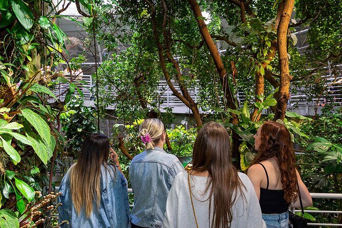 California Academy of Sciences NightLife Plus Admission Ticket - Key Points at a Glance