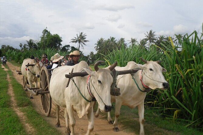 Cambodian Cooking Class and Oxcart Ride with Local Village Tour - Final Thoughts: Who Will Love This Tour?