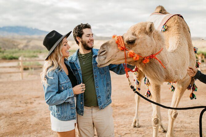 Camel Safari - Camel Ride and Zoo Tour - What Could Be Improved?
