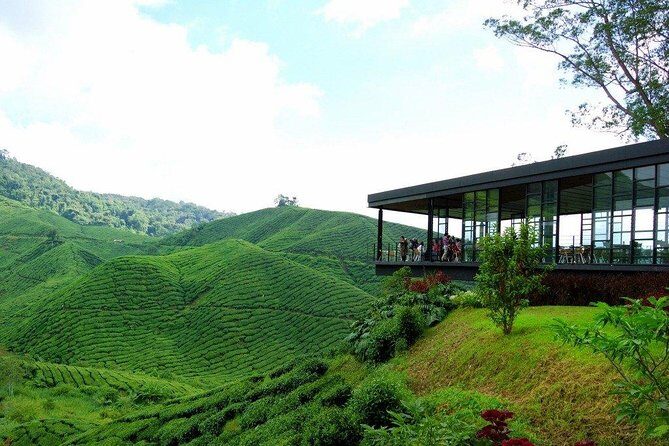 Cameron Highlands Full-Day Nature Tour - Final Thoughts: Is This Tour Worth It?