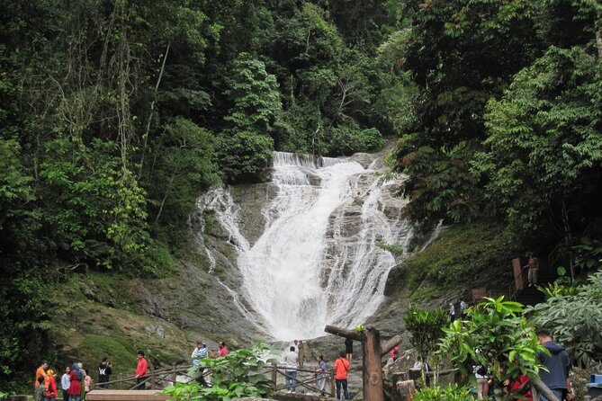 Cameron Highlands, Garden of Nature Full Day Private Guided Tour - The Itinerary in Detail
