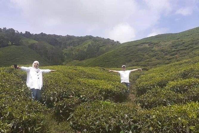 Cameron Highlands Tour From Kuala Lumpur (Special Deal) - Assessing the Value: Is This Tour Worth It?