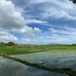 Can-umantad Falls and candijay rice terraces Eco Tour - What We’ve Learned from Reviews