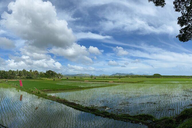 Can-umantad Falls and candijay rice terraces Eco Tour - What We’ve Learned from Reviews