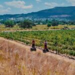 CAPE TOWN: SEGWAY FUN RIDE IN PAARL FREEDOM 301 WITH WILDX - Analyzing the Value