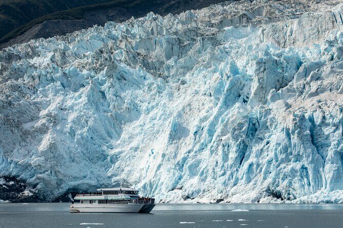 Captain's Choice Kenai Fjords National Park Tour from Seward - Is It Worth the Price?