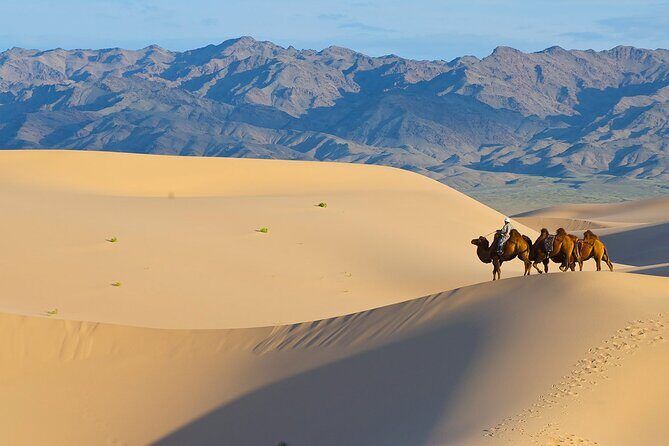 Captivating Central Mongolia with Guide - FAQs