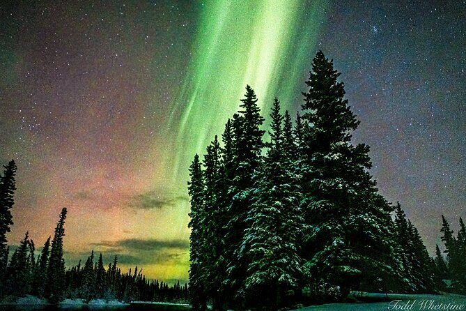 Capturing the Ethereal Beauty: Northern Lights Photo Workshop - Why This Tour Is a Great Choice