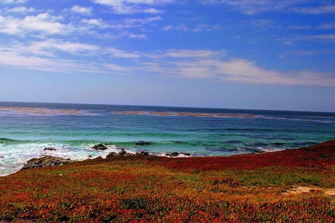 Carmel / Monterey Hwy 1 tour - Scenic Drives: Highway 1 and 17-Mile Drive