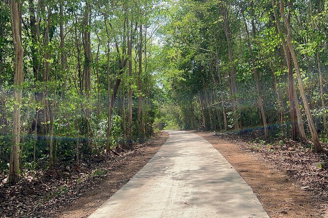 Cat Tien National Park Tour: Biking, Walking, Wildlife Safari - An In-Depth Look at the Tour Experience
