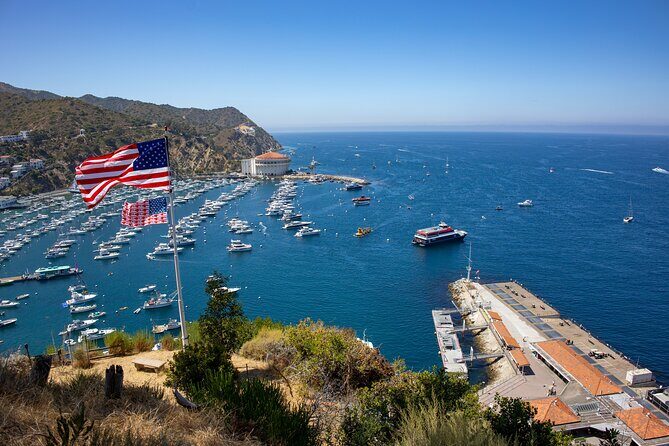 Catalina Island City and Scenic Mt Ada Tour - The Real-World Experience: Pros and Cons from Travelers