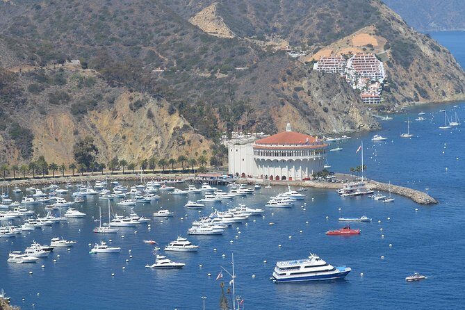Catalina Island Day Trip from Anaheim Hotels with Discover Avalon Tour - Final Thoughts