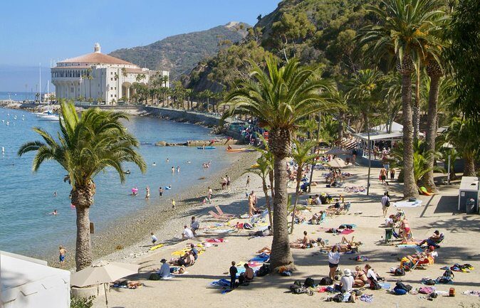 Catalina Island w/Discover Avalon Scenic Tour & Hotel transfers - Authenticity and Traveler Insights
