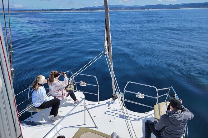 Catamaran Sailing Cruise in Monterey - Value and Practical Tips