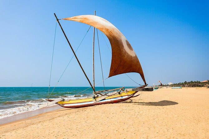Catamaran Sunset Sailing in Trincomalee - Final Thoughts