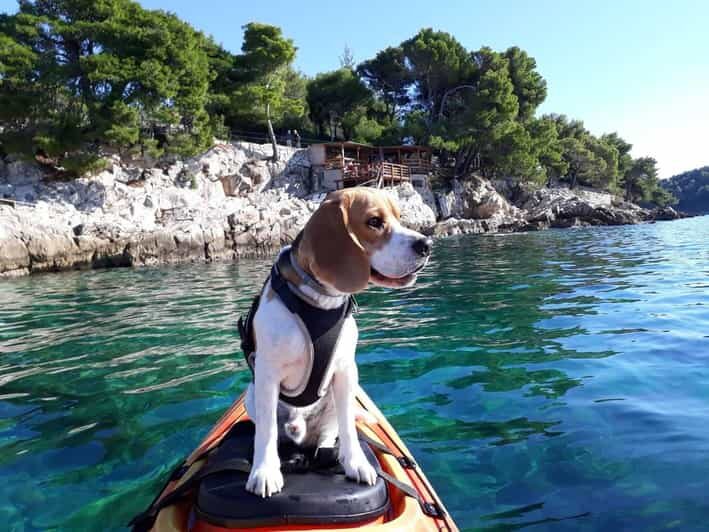Cavtat: Guided Sea Kayaking Tour - Practical Details: What You Need to Know