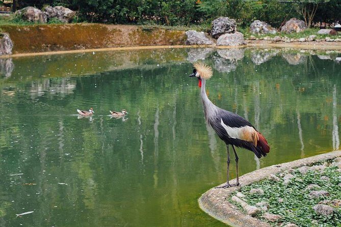 Cebu Safari Day Tour - Final Thoughts: Who Is This Tour Best For?