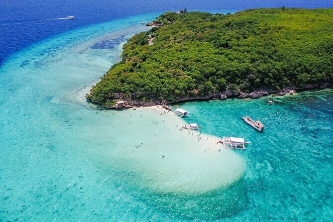 Cebu Whaleshark Watching w/ Sumilon Island Hopping - Why This Tour Delivers Value