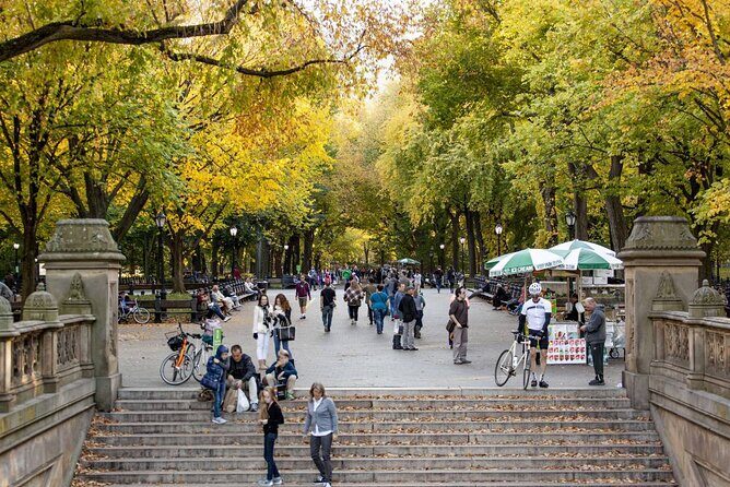 Central Park and 5th Avenue Walking Tour - Analyzing the Value