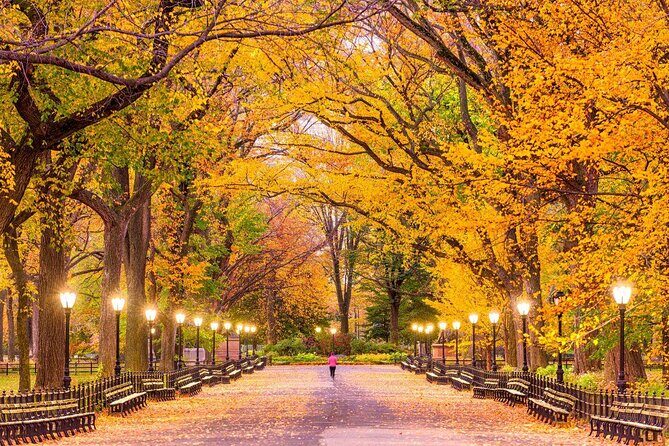Central Park Bike Rental In New York City - Pricing and Value