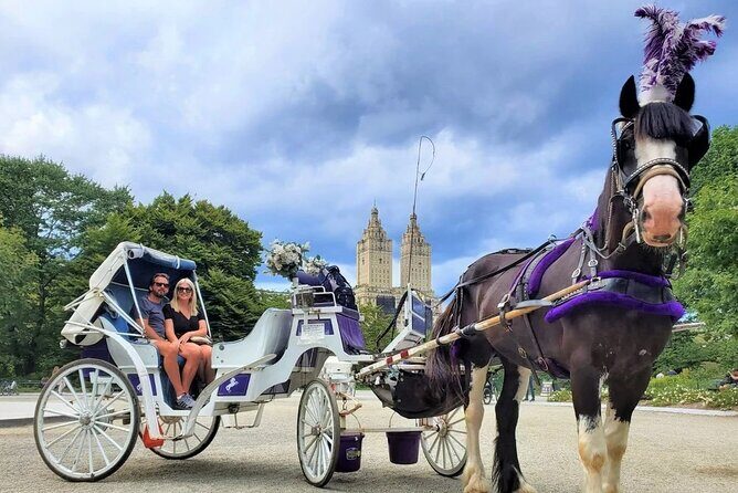 Central Park Horse and Carriage Rides - The Itinerary in Detail