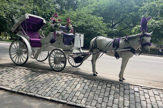 Central Park Horse Carriage Rides Since 2005 - FAQ