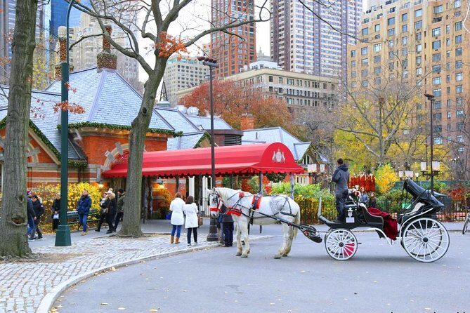 Central Park Private Horse Carriage Tour in NYC - What You Can Expect from the Experience