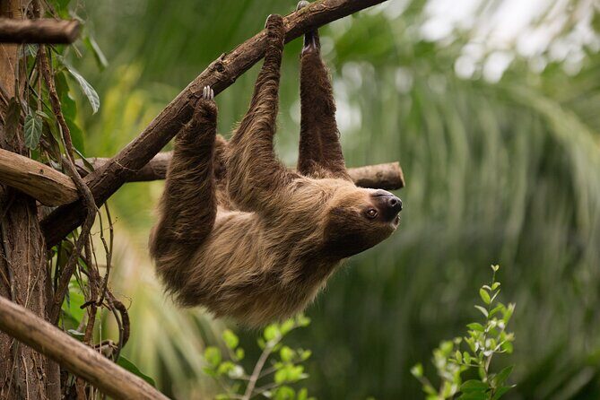 Central Park Zoo Skip-the-line Tickets & Private Transfers - Who Should Consider This Tour?