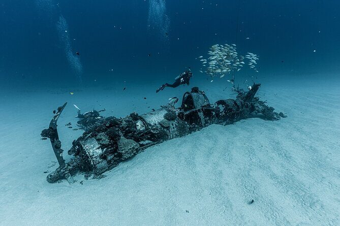 Certified Scuba Diving Experience in Honolulu - Who Should Consider This Tour?
