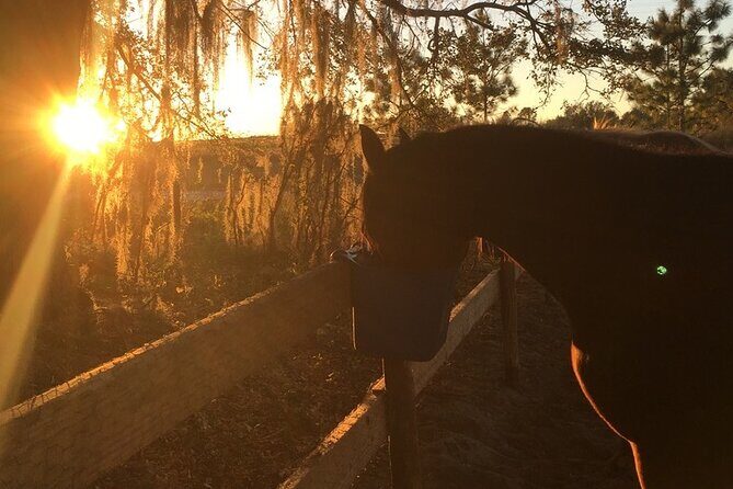 Champagne and Charcuterie Sunset Trail Ride - The Ride Itself: A Thorough Look at the Experience