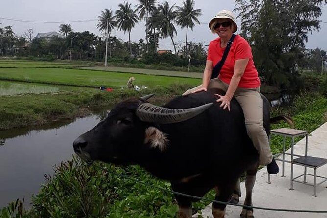 CHAN MAY or TIEN SA Port to HOI AN CITY & HOI AN COUNTRYSIDE - What Travelers Say: Genuine Feedback