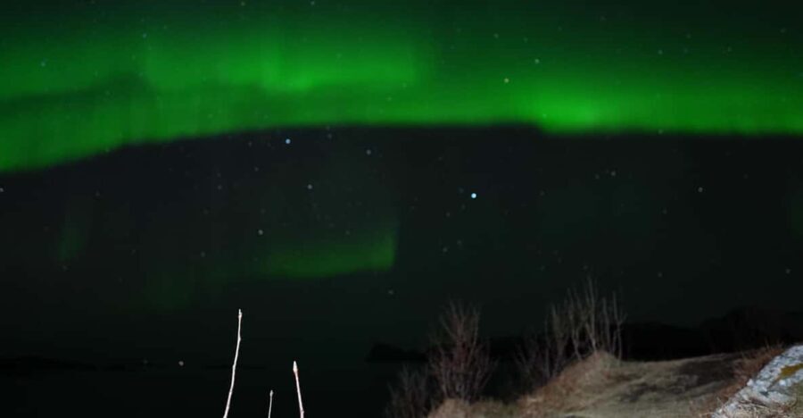 Chase the Magic of the Northern Lights in Tromsø Norway - Diving into the Experience